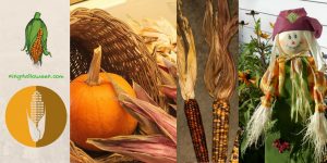 15 Halloween Symbols Explained