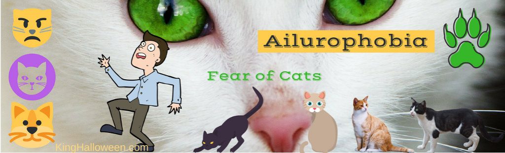 Fear Of Halloween & Other Halloween Phobias